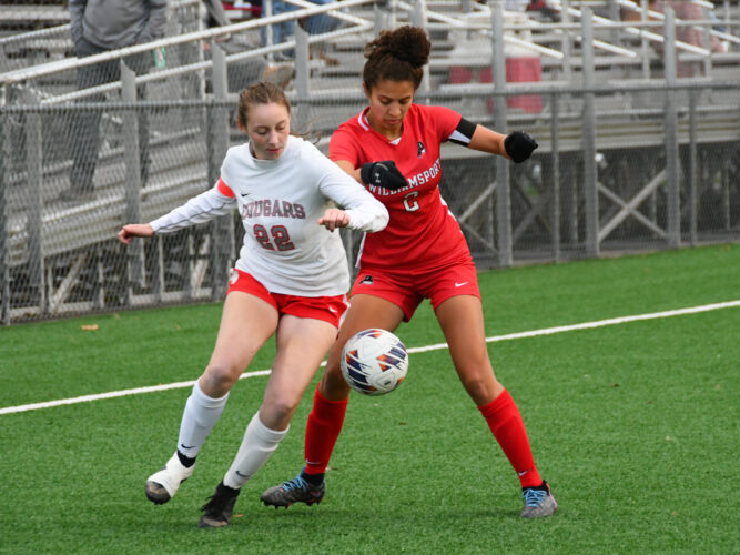 Wilson excels in final home game as Williamsport blanks Hazleton and ...